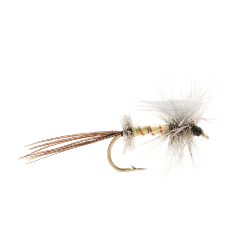 MAYFLY SPENT FEMALE MAYFLY — Fliesonline